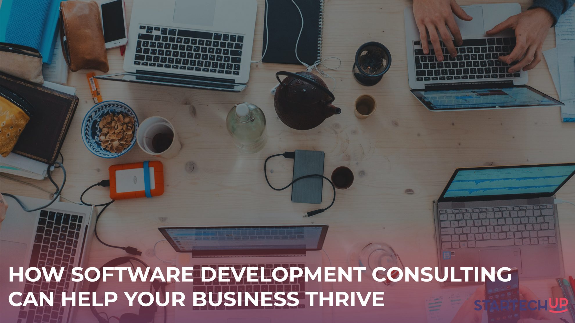 How Software Development Consulting Can Help Your Business Thrive